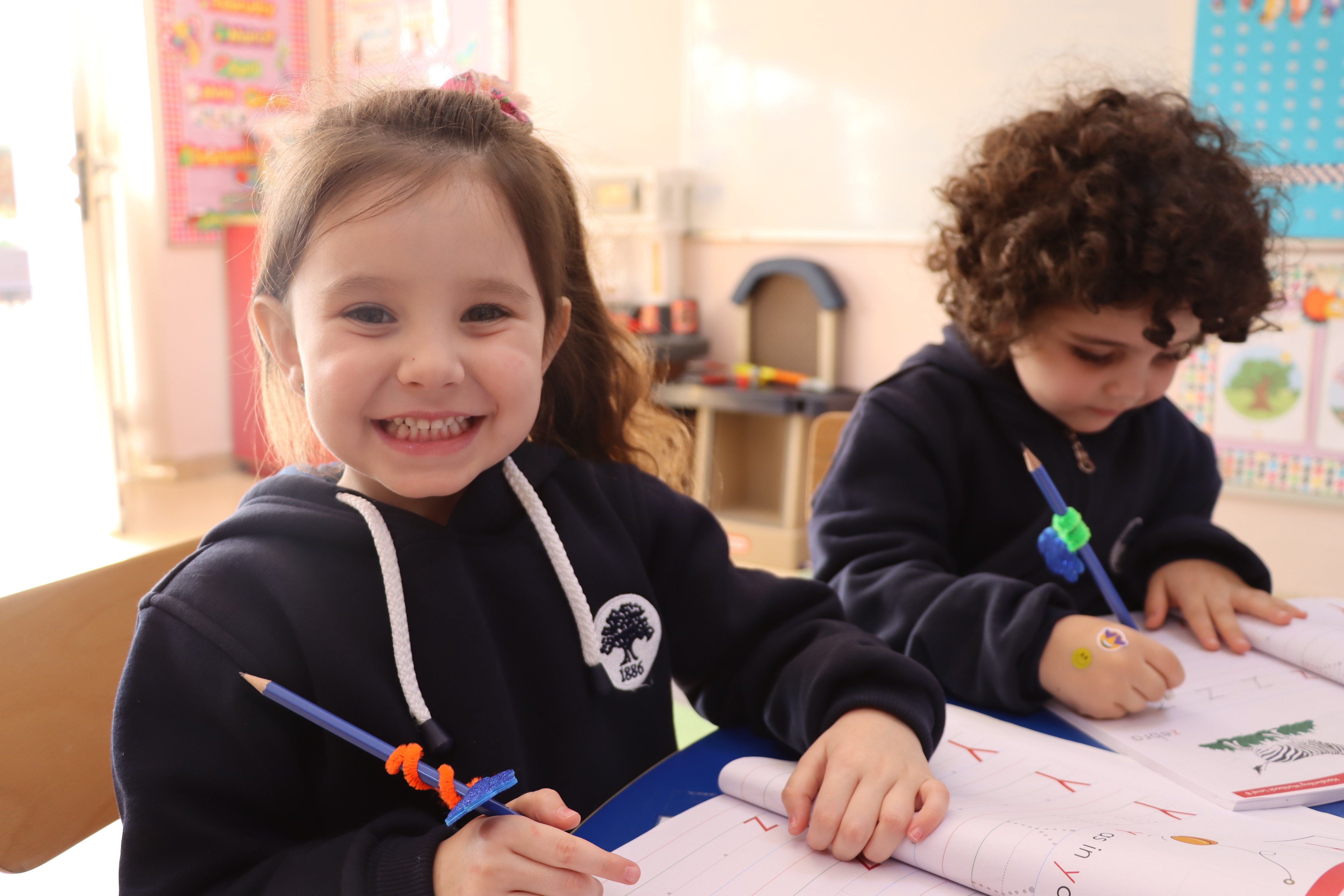 SABIS® - Pillars Landing Page