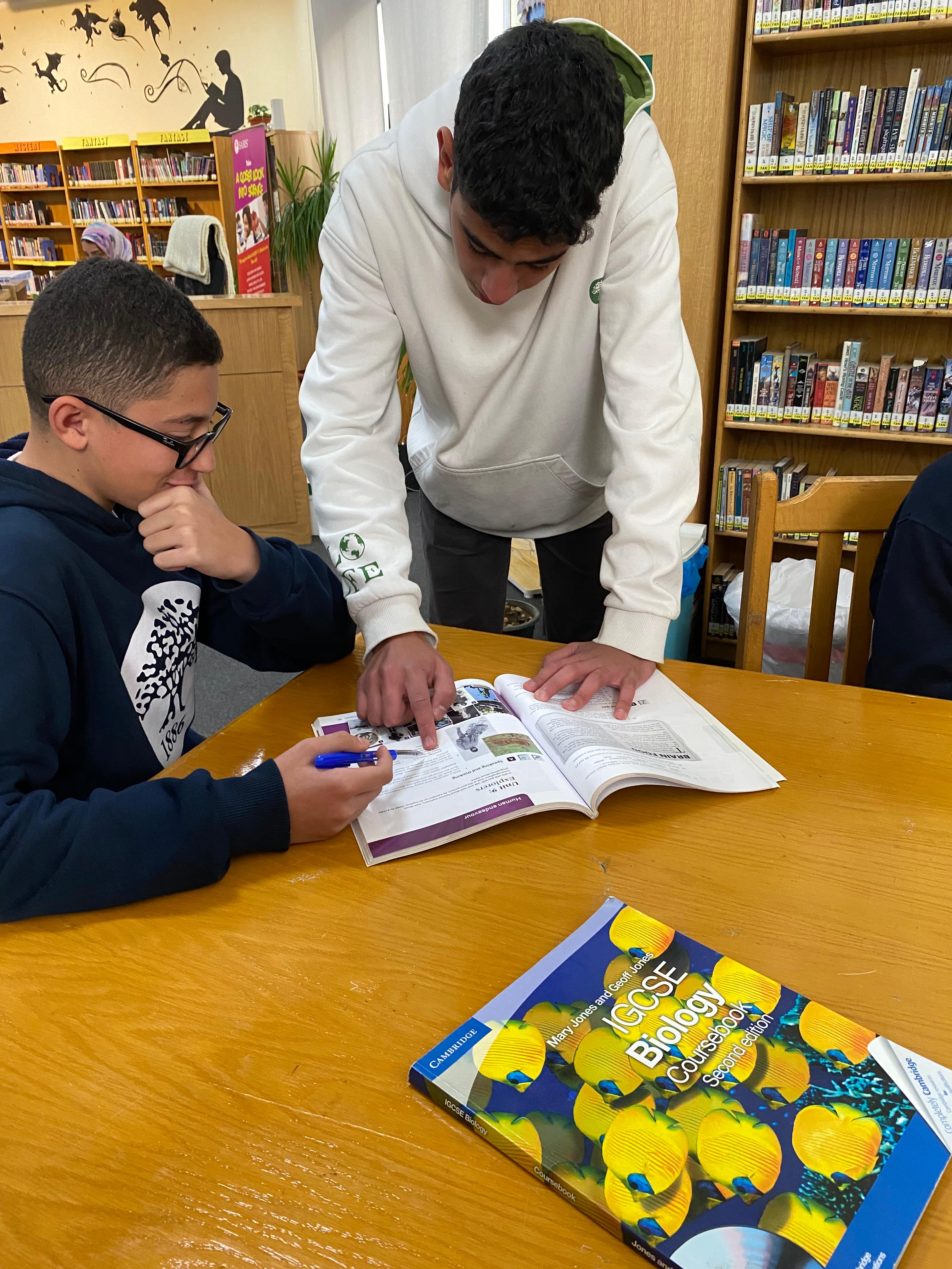 SABIS® - Pillars Landing Page